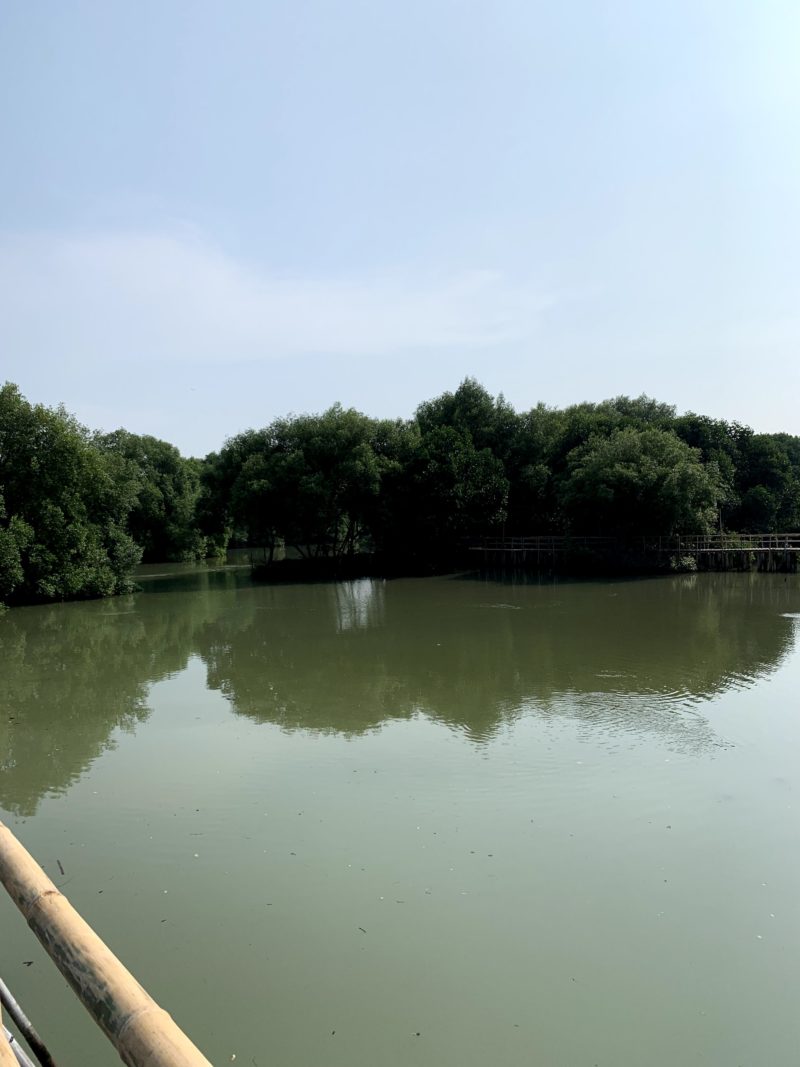 マングローブ Taman Wisata Alam （Angke Kapuk） » ☆ジャカルタ駐在妻☆